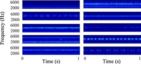 The Time Frequency Analysis Processed By Cwt For Case 1 Download Scientific Diagram