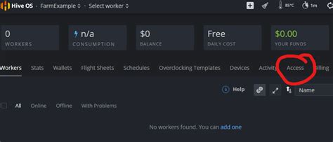 HiveOS Account Setup For New Users Chain Critical