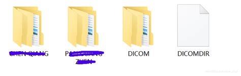 使用python的pydicom模块对dicomdir文件进行操作，将混合存储的dicom图像转化为分层存储python Dicomdir