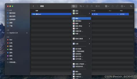 Mac版svn客户端 Macsvn 下载、使用指南【保姆级教程】macsvn客户端怎么用 Csdn博客