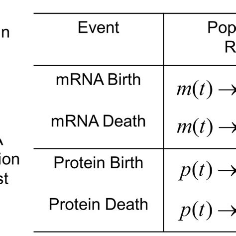 Model Formulation Schematic Of The Gene Expression Model Left The