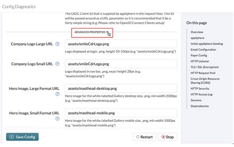 Getting Started Smile Cdr Documentation