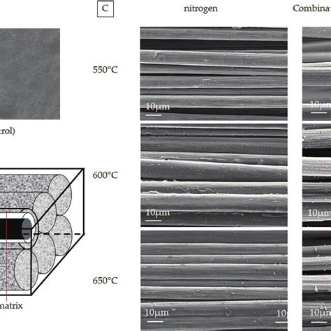 A Shows The Surface Analysis Of Cfrp Control With The Schematic Download Scientific Diagram