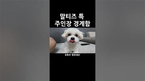 어디한번 이 썸네일을 지나쳐봐 Youtube