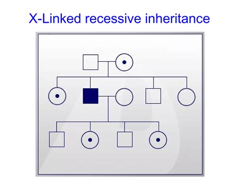 Modes Of Inheritance Ppt