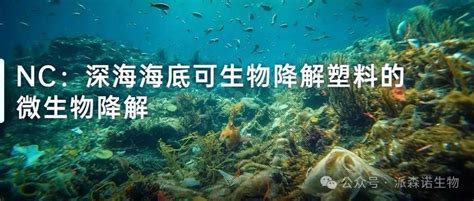 生物降解 Nc：深海海底可生物降解塑料的微生物降解 知乎