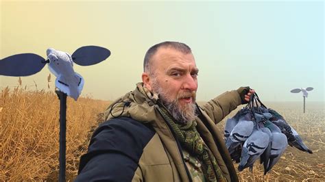 გარეულ მტრედზე ნადირობა სატყუარებით Youtube