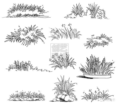 植物速写 高清图片堆糖美图壁纸兴趣社区