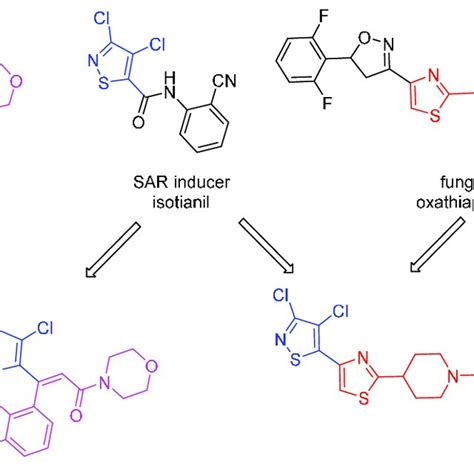 Scheme 1 Design Strategy Of Previously Synthesized Fungicidal Compounds Download Scientific