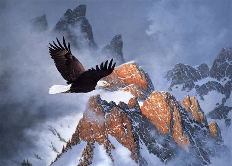 Eagle Flying Hd Wallpapers Top Free Eagle Flying Hd Backgrounds