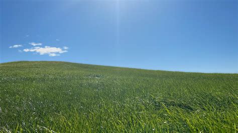 Took A Photo At A Hill That Looks Like The Bliss Hill R Windowsxp