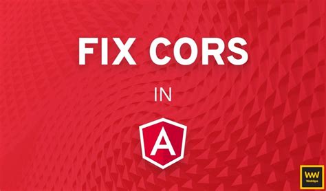 How To Fix Cors Issues In Angular Rwebtips