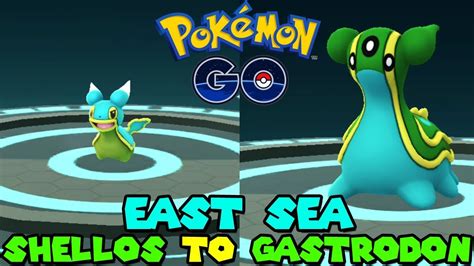 Evolving Shellos East Sea To Gastrodon East Sea In Pokemon Go Youtube