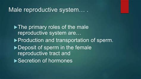 Male Reproductive System Pptx