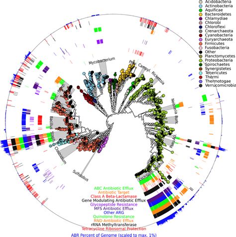 Prevalence Of Antibiotic Resistance Across Bacterial Isolate Download Scientific Diagram