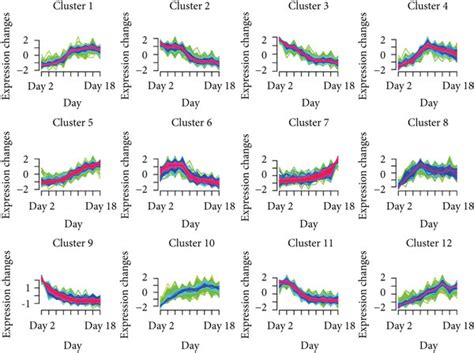 Clustering Analysis Of Time Series Lncrnas During Osteoblast