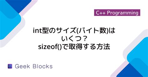 C Long型の使い方をわかりやすく解説