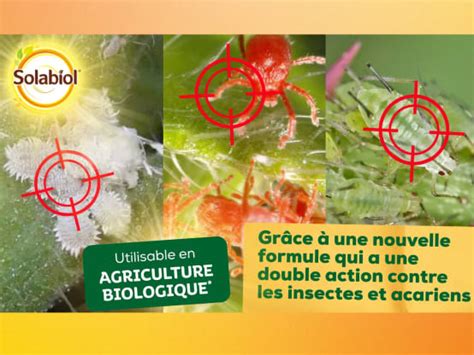 Insecticide Polyvalent Solabiol Gamm Vert