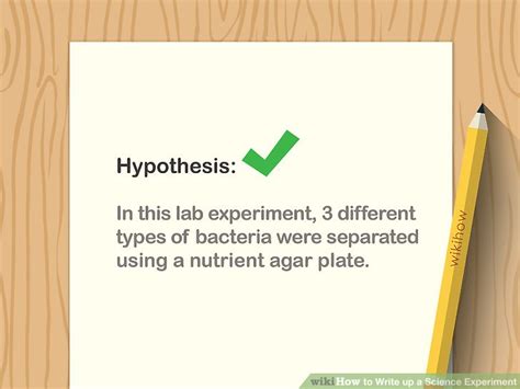 How To Write Up A Science Experiment 11 Steps With Pictures