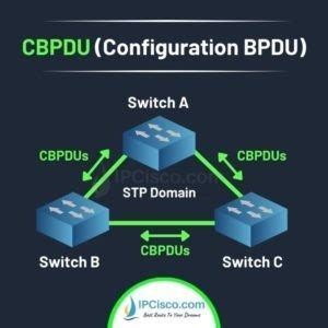 BPDU Bridge Data Unit Protocol Configuration TCN BPDU