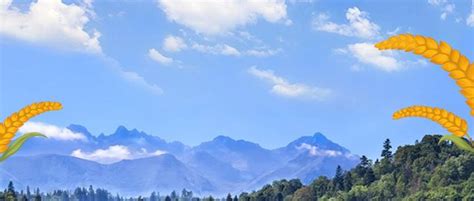 混合存储架构中的数据编排 知乎 混合存储架构中的数据编排 知乎