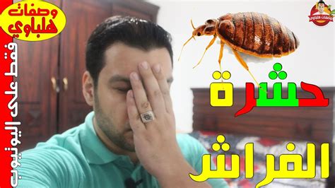 الحقوني يا جماعة أعمل أيه لو لقيت حشرة فراش في سرير بيتنا وأيه الحلول