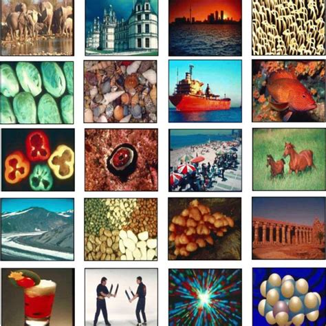 Sample Images From Corel Dataset Download Scientific Diagram