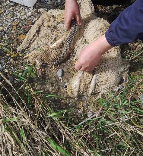 ИА ИАРА Изпълнителна агенция по рибарство и аквакултури