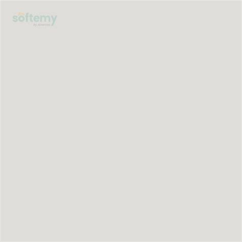 Softemy By Ametras On Linkedin 🌟 Meet Anca Aka Bubu 🌟 From Handling