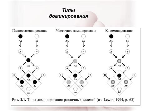 Взаимодействие генов Наследование групп крови по системе АВО и резус фактору Взаимодействие