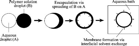 Figure 1 From Recent Advances In Microencapsulation Technology Semantic Scholar