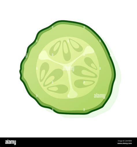 Cucumber Slice Isolated On White Background Green Round Piece Of Cucumber Vector Illustration