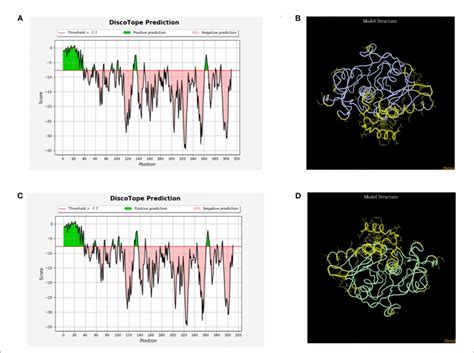 Figure Ee Disco Tope Discontinuous Conformational Antibody Epitope Download Scientific