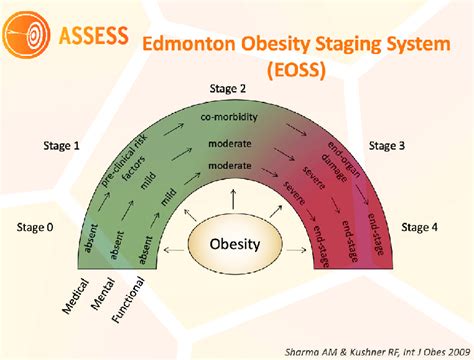 Edmonton Obesity Staging System Eoss Download Scientific Diagram