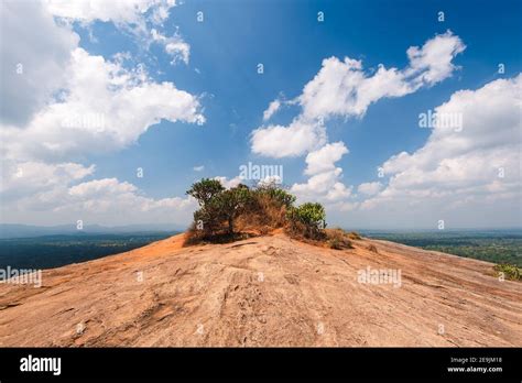 The Mountain Top Of Pidurangala Rock In Sri Lanka Blue Sky Daylight