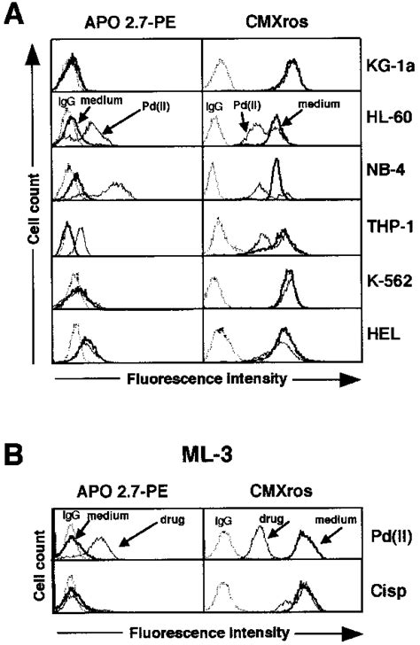 Induction Of Apoptosis Of Aml Cell Lines By Pd Msdtbr N A Aml
