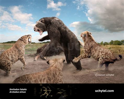 Smilodon Fatalis зображення купити недорого Uchytel