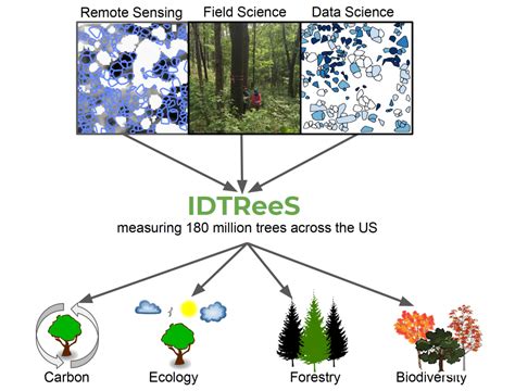 Idtrees Integrating Data Science With Trees And Remote Sensing