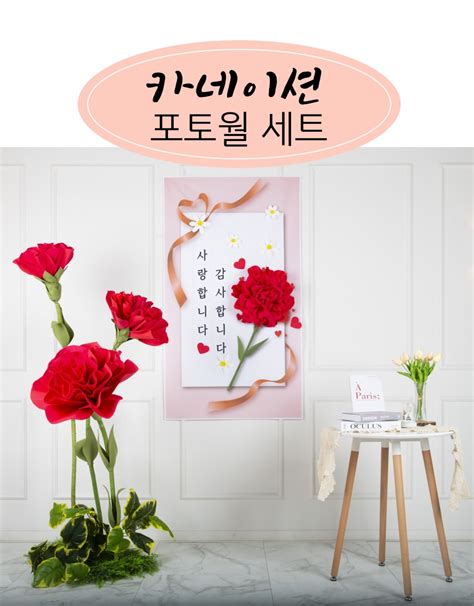 파티·이벤트용품 어버이날스승의날부모님생신칠순팔순현수막입체꽃포토월대형카네이션 가정의달포토존장식행사 오늘의집 쇼핑