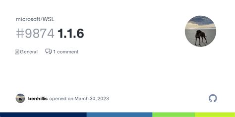 1 1 6 Microsoft WSL Discussion 9874 GitHub