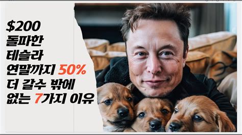 71월 200 돌파한 테슬라 연말까지 50 더 간다 Youtube