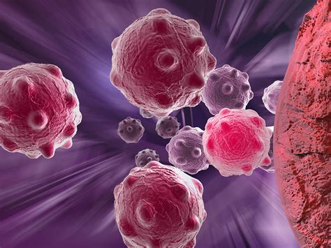 人pbmc中的免疫细胞分类 联科生物