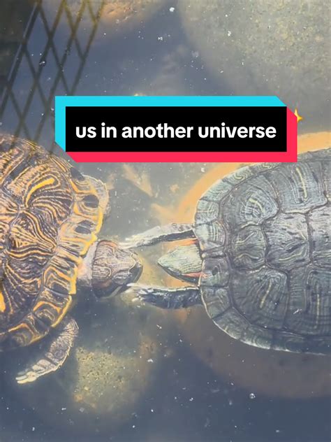 💞 Cece Nicole Smith Cecenicolesmith