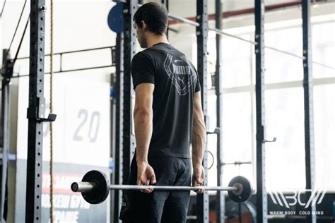 4 Forearm Barbell Exercises For Grip And Muscle Strength