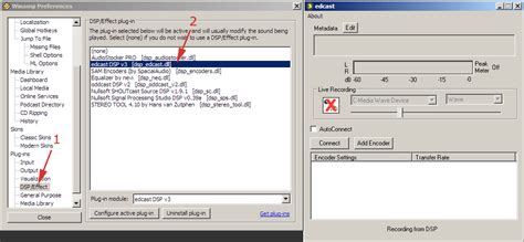 Edcast Winamp Plugin How To Tutorial Icecast Or Shoutcast Streaming