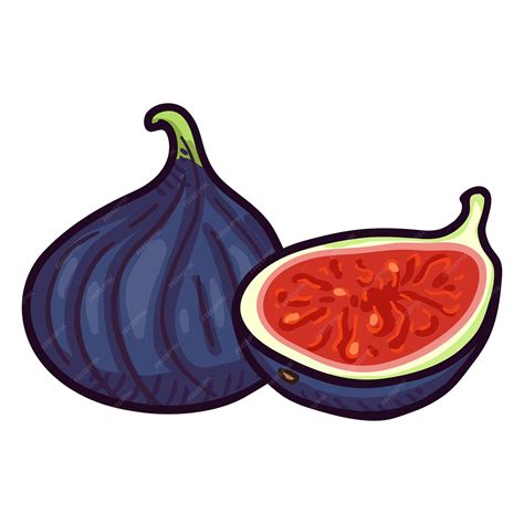 Premium Vector Vector Cartoon Fresh Blue Fig Fruit