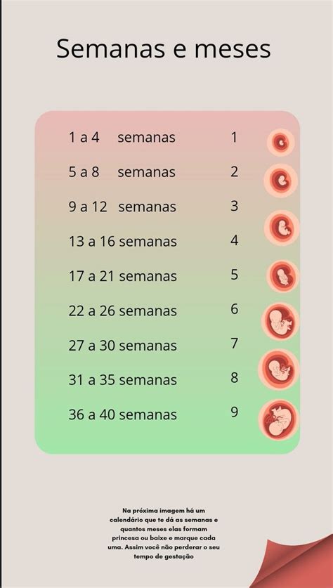 Semanas E Meses Da Gestação Semanas Da Gestação 4 Semanas De
