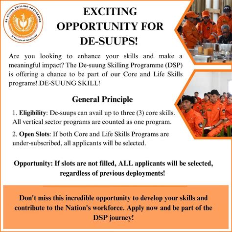 De Suung Skilling Programme