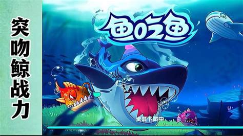 鱼吃鱼盘点第一海域战力之突吻鲸 科普视频 搜狐视频