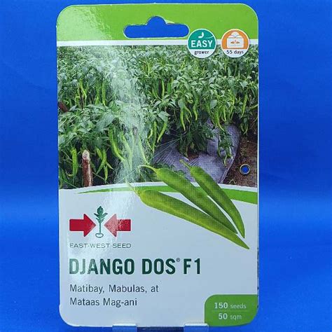 East West Seed Django Dos F1 Hybrid Siling Panigang Seeds Pouch 150